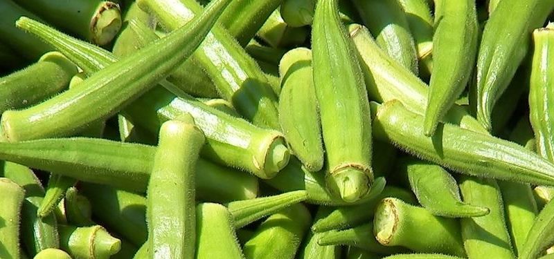 Quiabo Beneficios